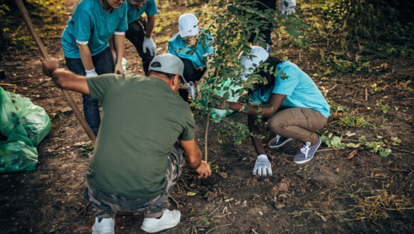 Native American Land Conservancy